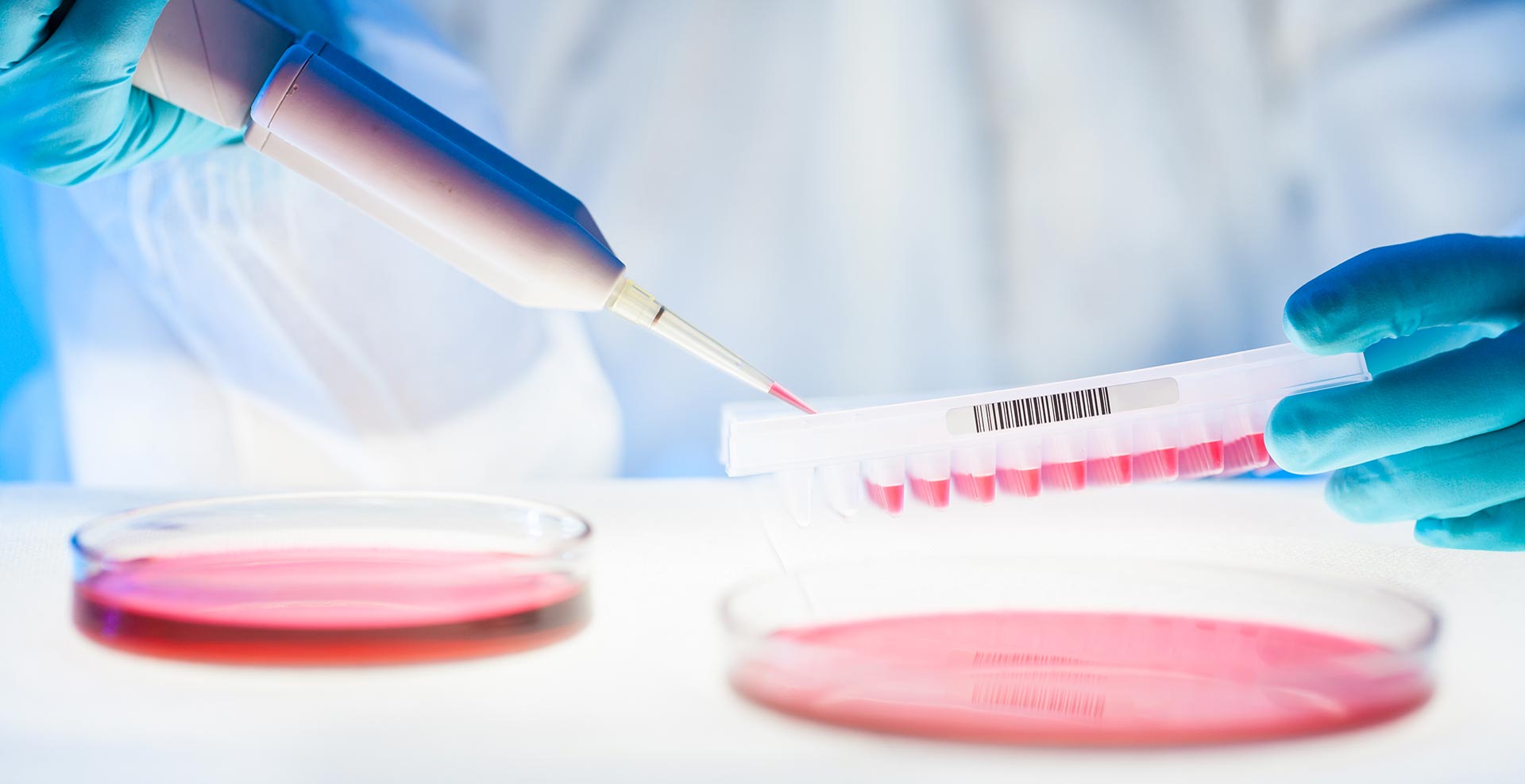 Bioindus – Research & Diagnostics